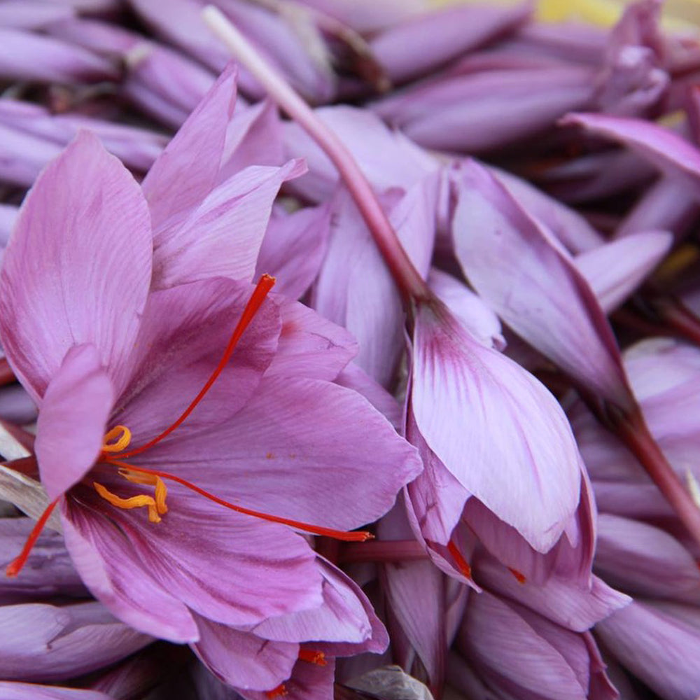 Zar Taj Saffron